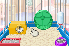 Petz - Hamsterz Life 2 (USA) - ROMs GBA - Nintendo - Game Boy Advance ...