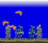 Aqualife (Japan) (SGB Enhanced) - ROMs Game Boy - Nintendo - Game Boy ...