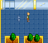 Doug's Big Game (Europe) - ROMs Game Boy - Nintendo - Game Boy Color ...