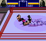 WCW Mayhem (USA, Europe) - ROMs Game Boy - Nintendo - Game Boy Color ...