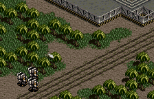 ROMs WonderSwan - Bandai - WonderSwan Color - Planet Emulation